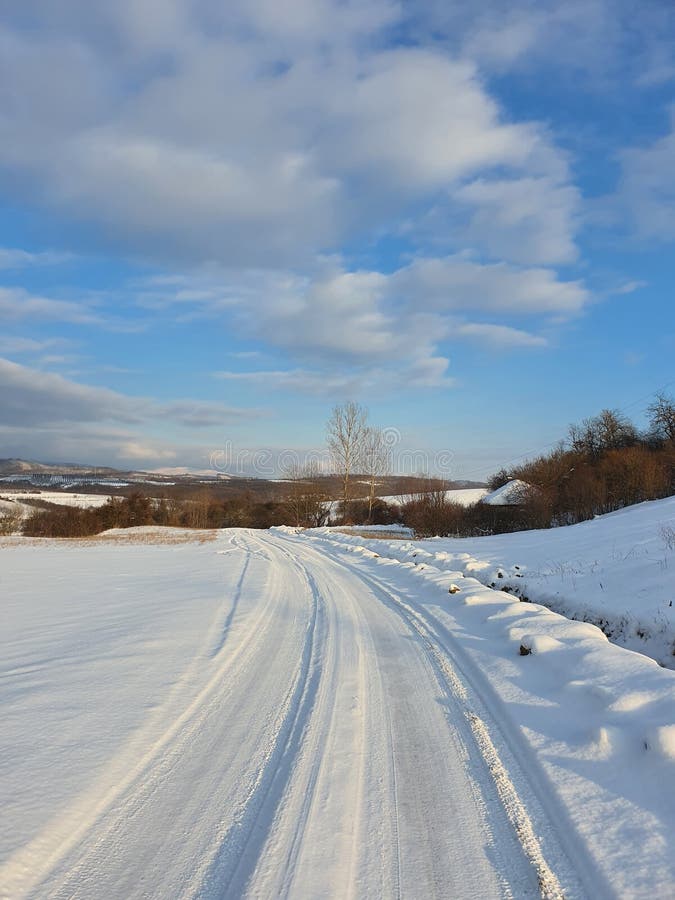 Snow day in winter stock image. Image of blizzard, frost - 208676659