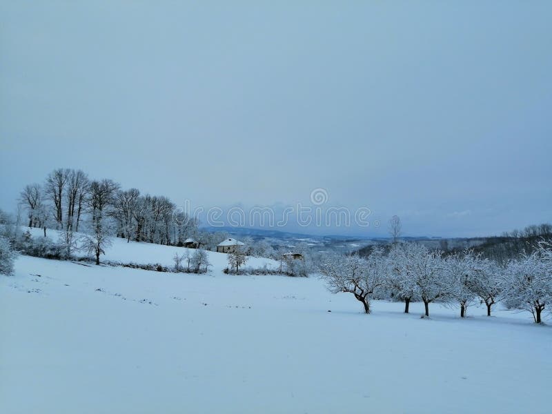 Snow day in winter stock image. Image of frost, plant - 208668581