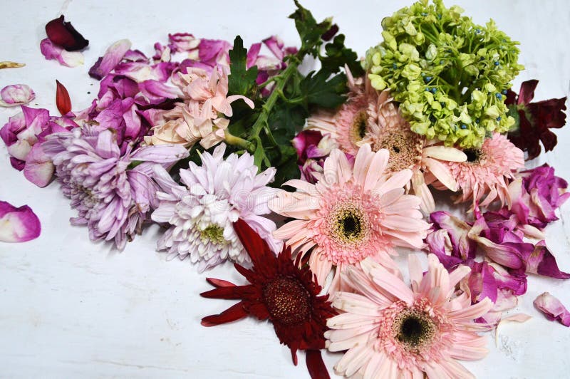 Picture of Some Flowers Scattered on a White Surface Stock Image ...