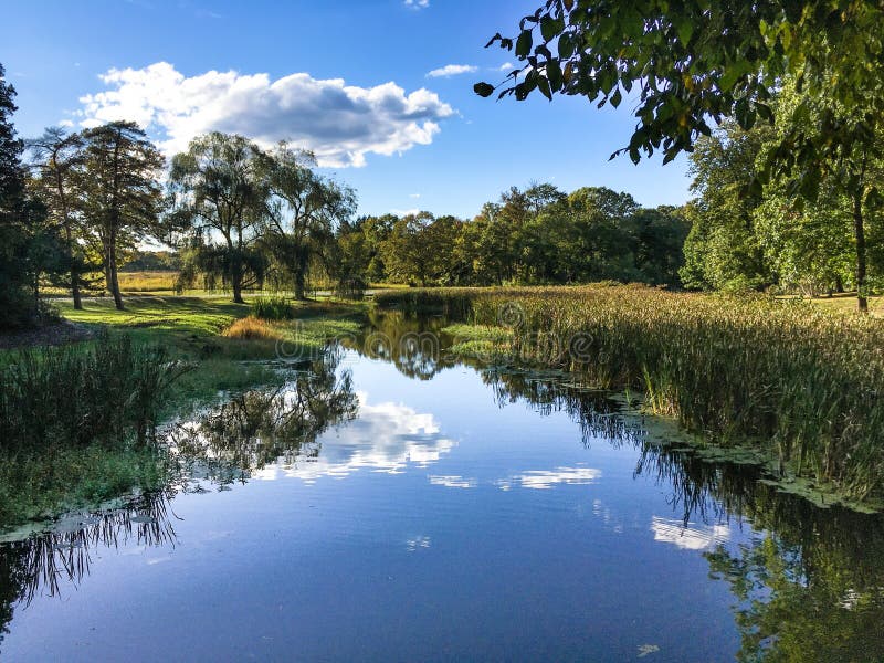 Still Waters on river pond stock image. Image of cartoon - 210057847