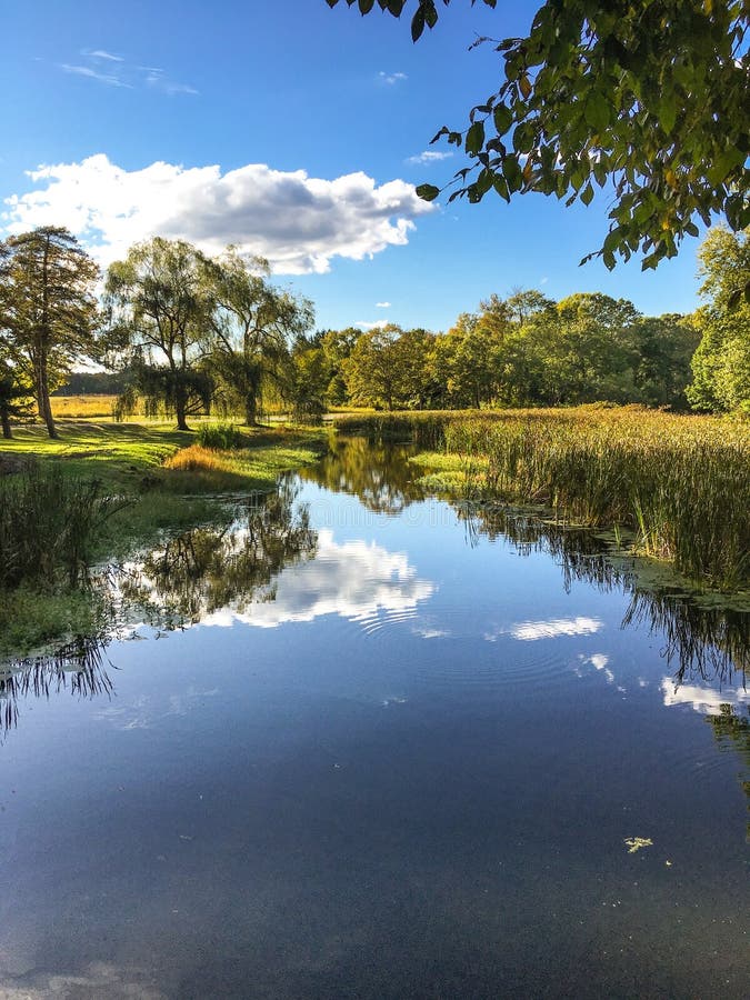 Still Waters on river pond stock image. Image of lawn - 210057875