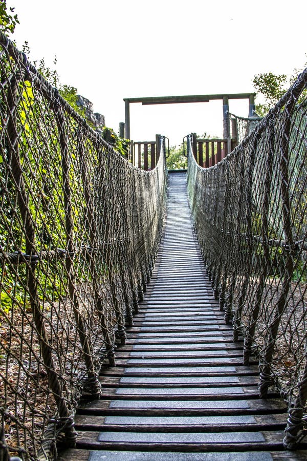 Suspension Footbridge Going through a Park Stock Image - Image of ...