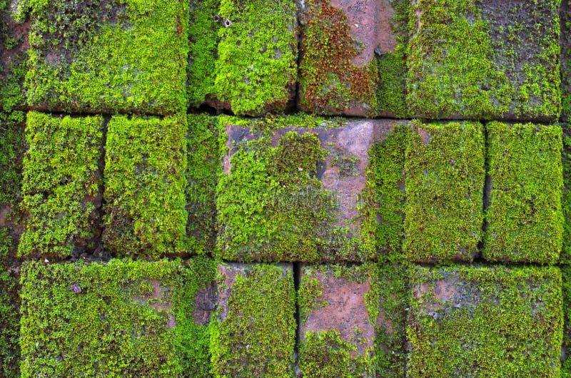 Picture of the Texture of the Wallpaper with Moisture and a Cover of ...