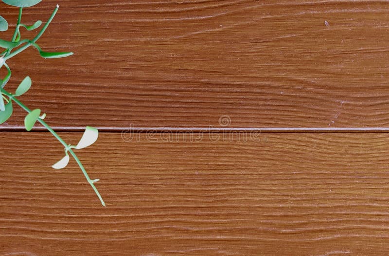 This is a Picture of the Texture of the Wood Grain Wall. Stock Image ...