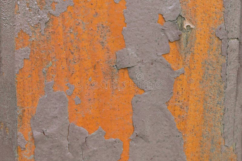 Texture Tree Bark Texture for Graphic Design. Stock Image - Image of ...