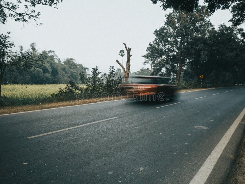 Picture of a Tree Inside a Tree Stock Photo - Image of plants, green ...