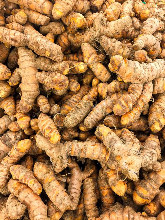 Fresh raw tumeric root stock photo. Image of healthy - 183618122