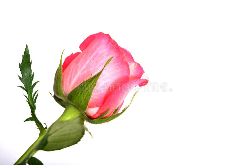 Manipulated Quotes Picture Stock Photos - Free & Royalty-Free Stock ...