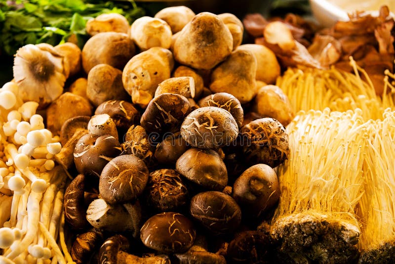 Picture of Various Mushroom Stock Photo - Image of gourmet, cooking ...