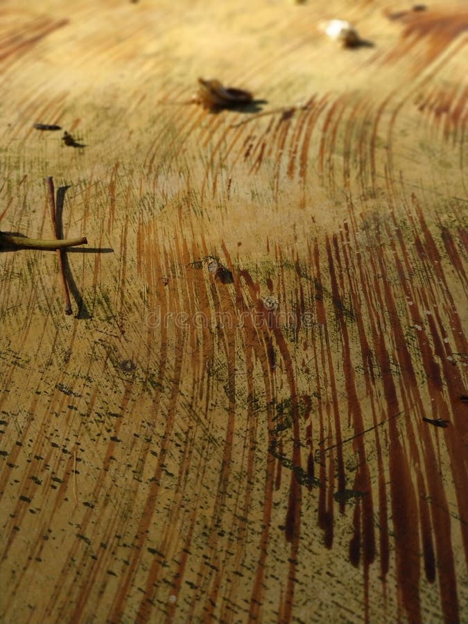 Wood Random Scene Pattern Under the Light Stock Photo - Image of wood ...