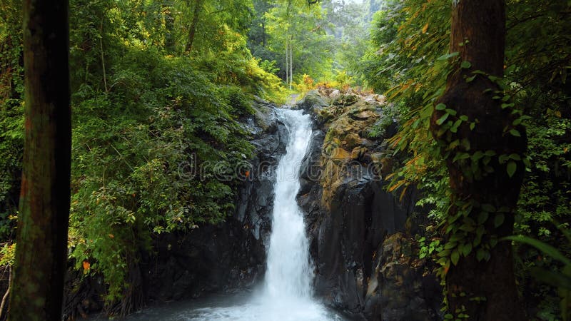 Picture of Waterfall with Rocks among Tropical Jungle with Green Plants ...