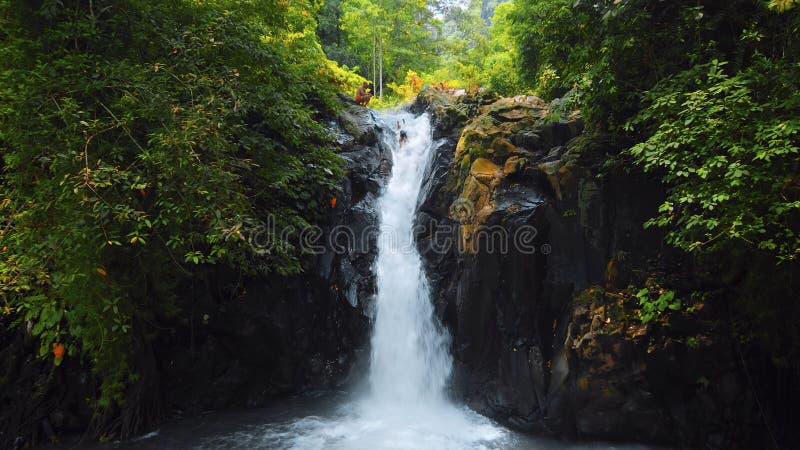 Picture of Waterfall with Rocks among Tropical Jungle with Green Plants ...
