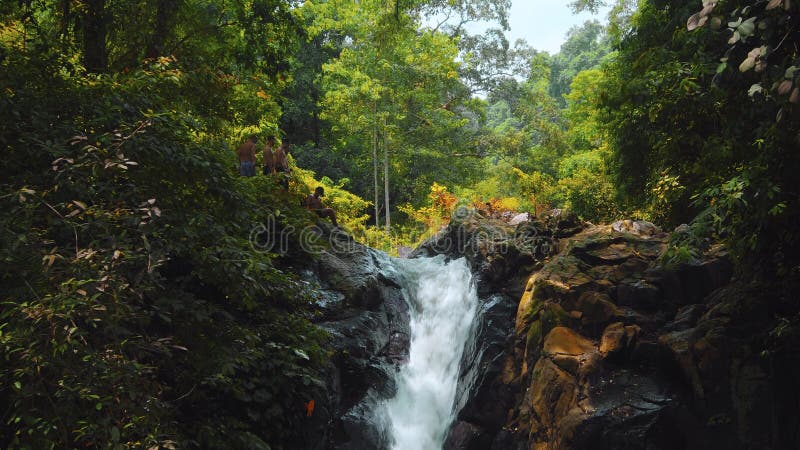 Picture of Waterfall with Rocks among Tropical Jungle with Green Plants ...