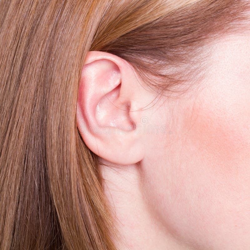 Picture of woman s ear stock image. Image of female, girl - 67713003