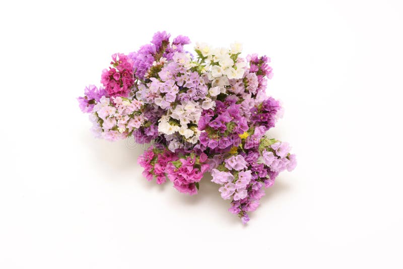 Bouquet of Statice and Stock in a Glass Vase Stock Photo - Image of ...