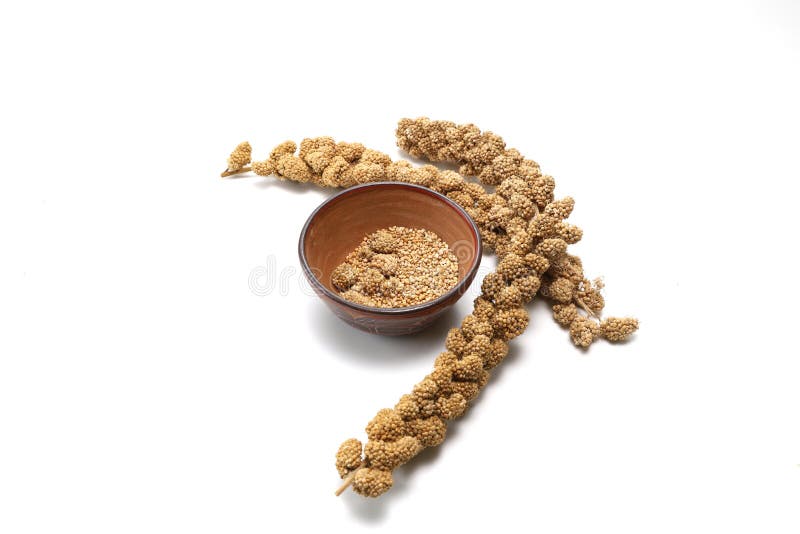 Millet in a White Background Stock Photo - Image of healthy, millet ...