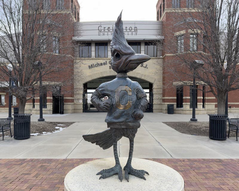 Billy Blue Jay Statue in Front of the Michael G. Morrison, S.J. Stadium ...