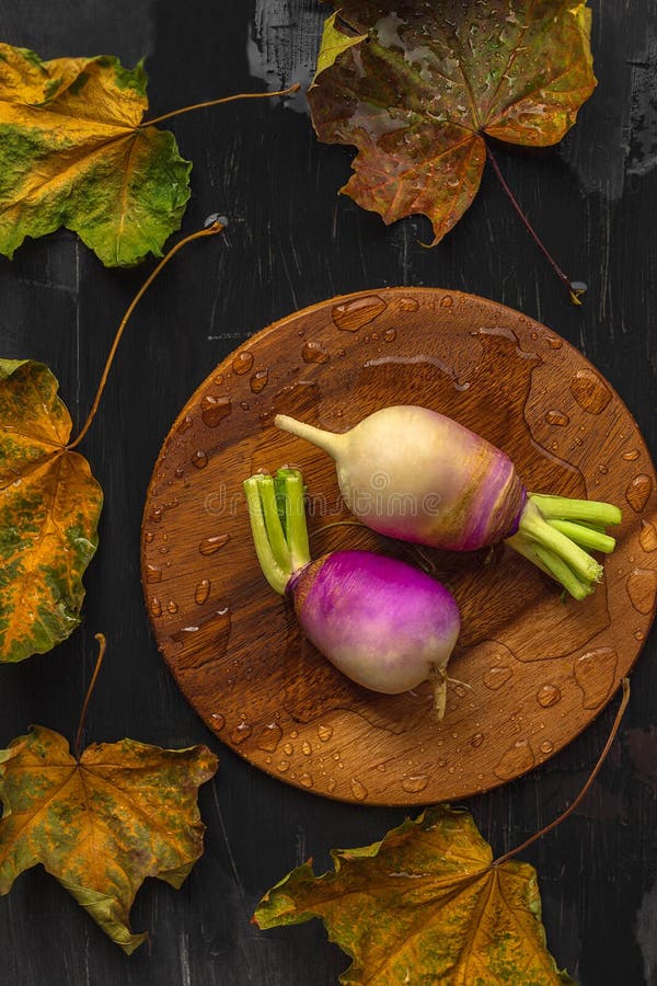 Two Whole Turnips Lie on a Wooden Round Board in the Center of the ...