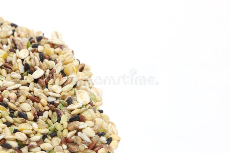 Millet in a White Background Stock Photo - Image of healthy, millet ...