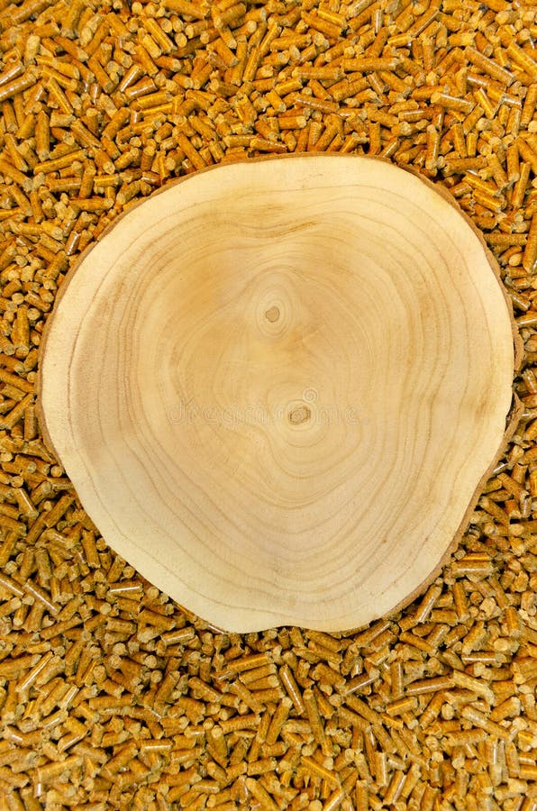 Wood Log Slice Surrounded by Pellets, Leaving a Copy Space Stock Image ...