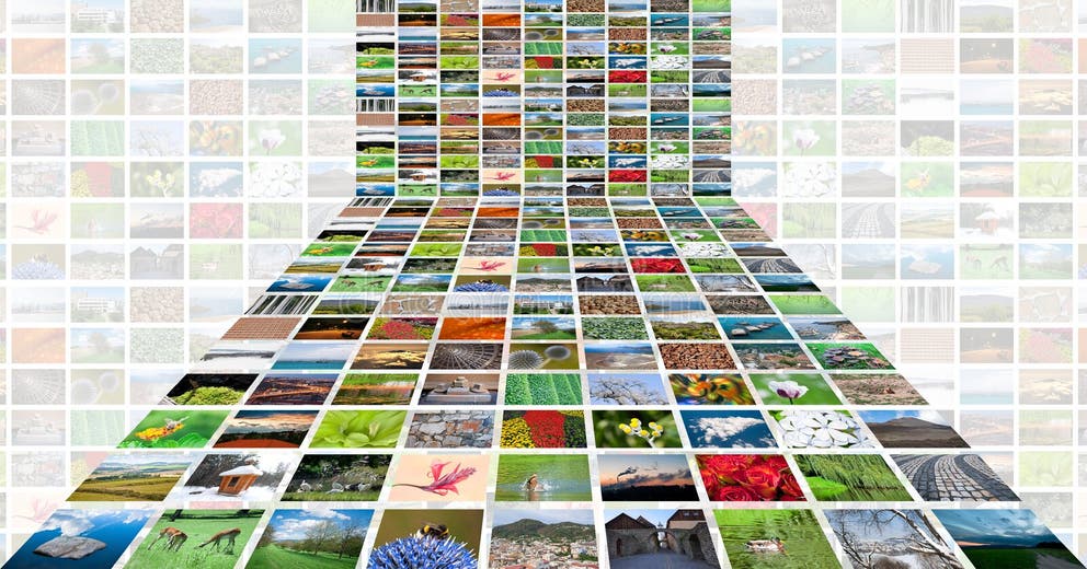 50,543 Stock Photos Images Pictures Stock Photos - Free & Royalty-Free ...