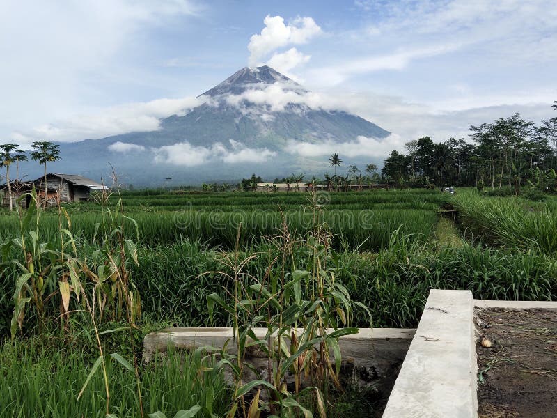 Pictures of the Beautiful and Cool Slopes of Mount Semeru Stock Photo ...