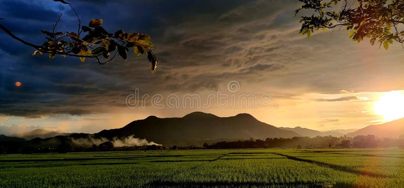 Pictures of Natural Scenery Look Comfortable To the Eye. Stock Photo ...