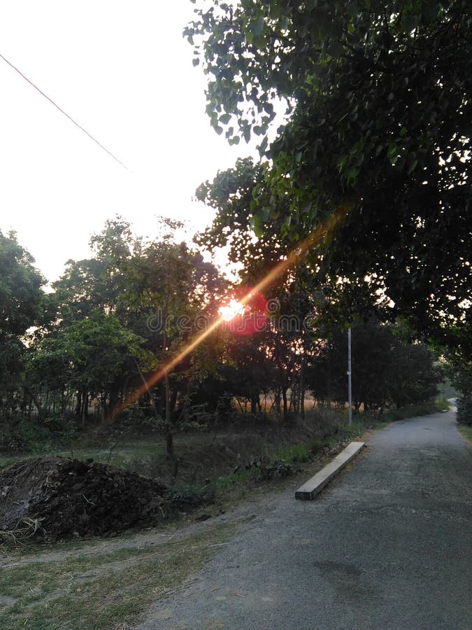 Really pictures stock image. Image of click, time, morning - 122327437