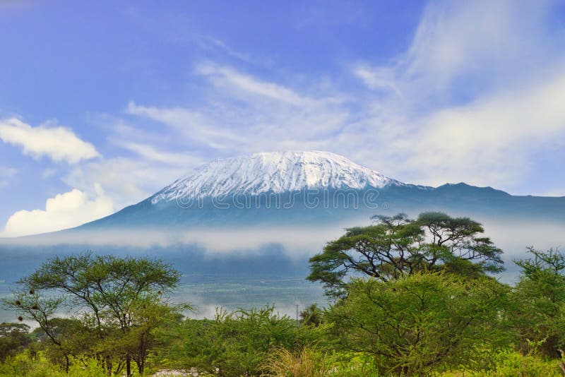 Pictures of the Snow-covered Kilimanjaro in Kenya Stock Photo - Image ...