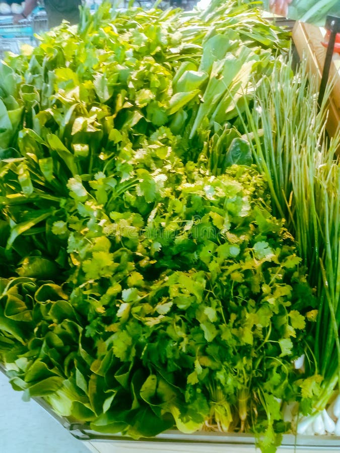 Pictures of Various Types of Greens Stock Photo - Image of wildflower ...