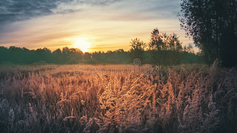 Picturesque Autumn Field on a Cloudy Morning Stock Photo - Image of ...