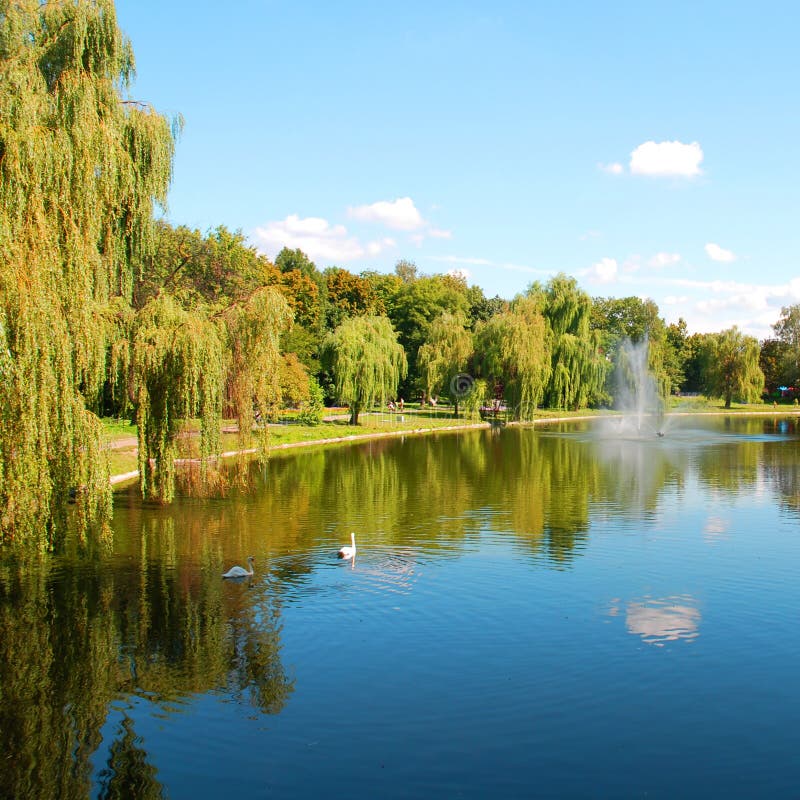 Picturesque Autumn Landscape Stock Image - Image of season, nature: 6388959