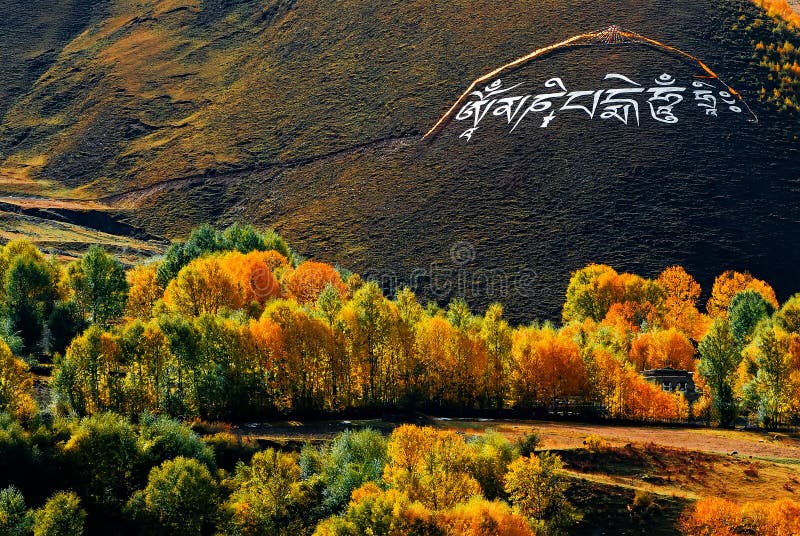 Picturesque Autumn Landscape in Tibet Stock Photo - Image of forest ...