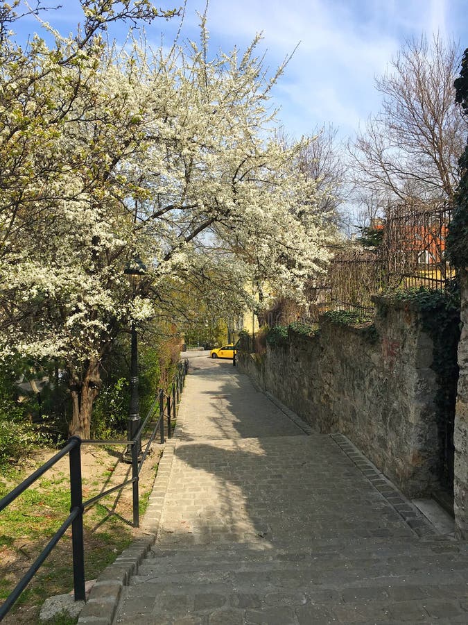 Picturesque Cobblestone Path Surrounded by Trees and Stone Walls during ...