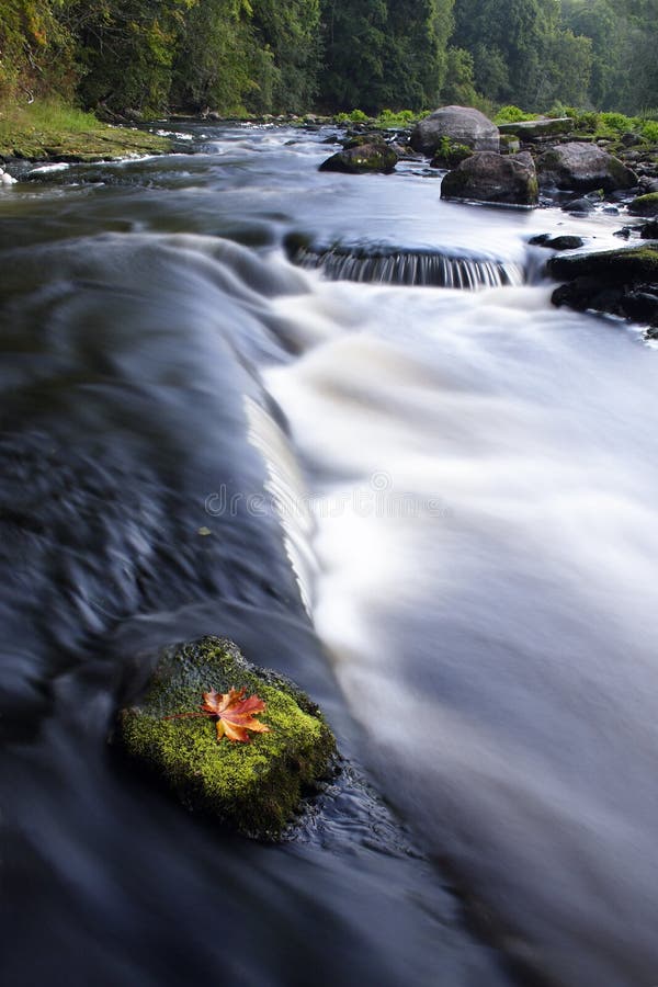Picturesque Countryside River Stock Photo - Image of leaf, scenic: 14863906