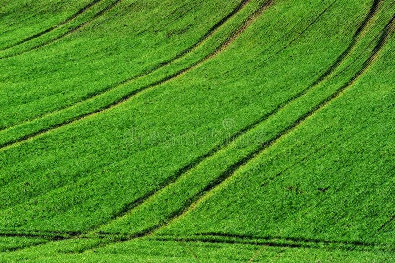 Picturesque hilly field stock photo. Image of green - 127458842