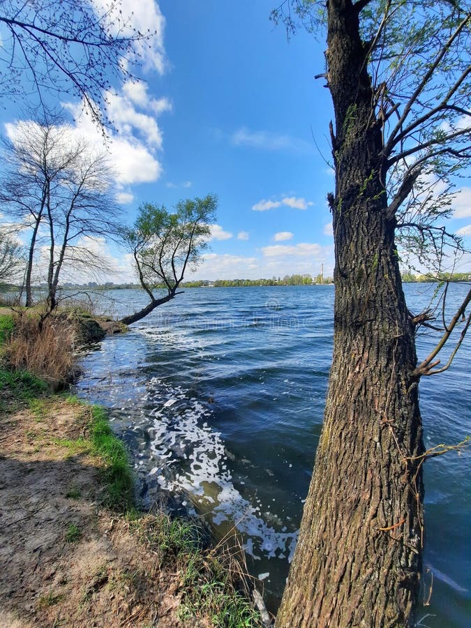 Picturesque Lakeside Scene with Tree Border and Gentle Waves Under a ...
