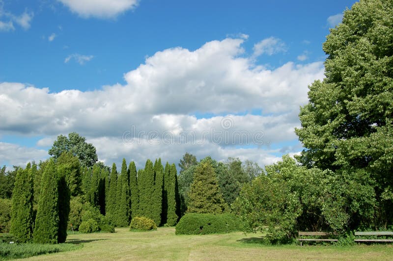 Picturesque landscape stock image. Image of forest, trees - 3004447