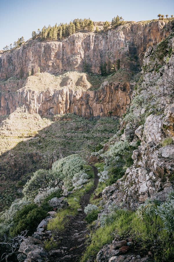 Picturesque Landscape Featuring a Hill with a Cliff and Trees at the ...