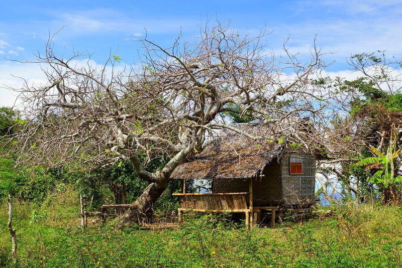 Picturesque Landscape with Hut. Stock Image - Image of bamboo, famine ...