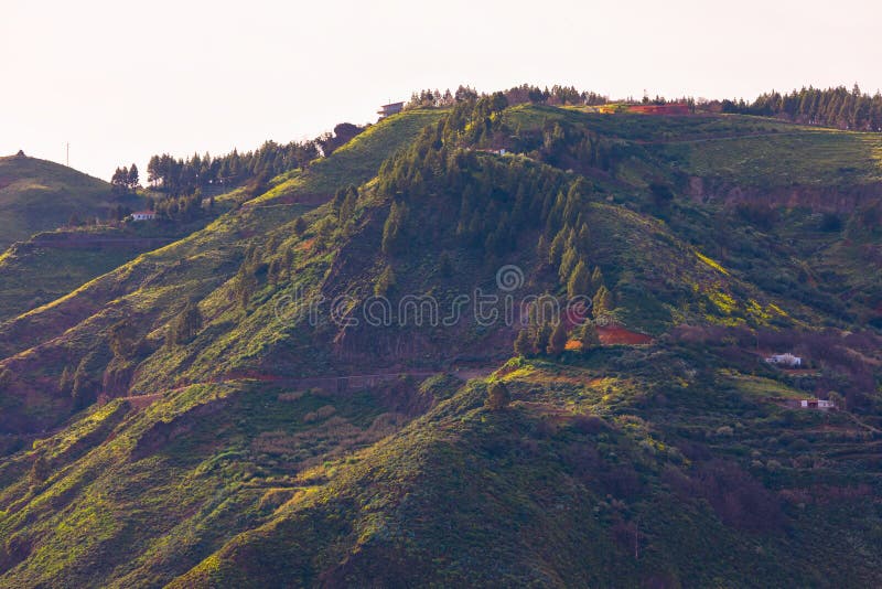 Picturesque Mountain Surrounded by Lush Greenery Stock Image - Image of ...