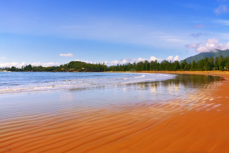 Picturesque ocean beach stock photo. Image of happiness - 177328070