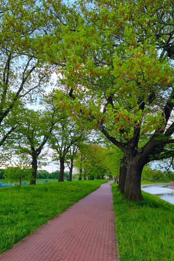 Picturesque Path for Walks Near the River and Trees Stock Photo - Image ...