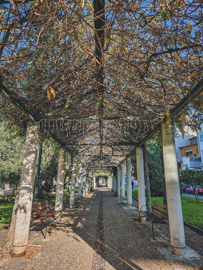 Pathway Underneath Twining Vines Stock Image - Image of outdoor ...