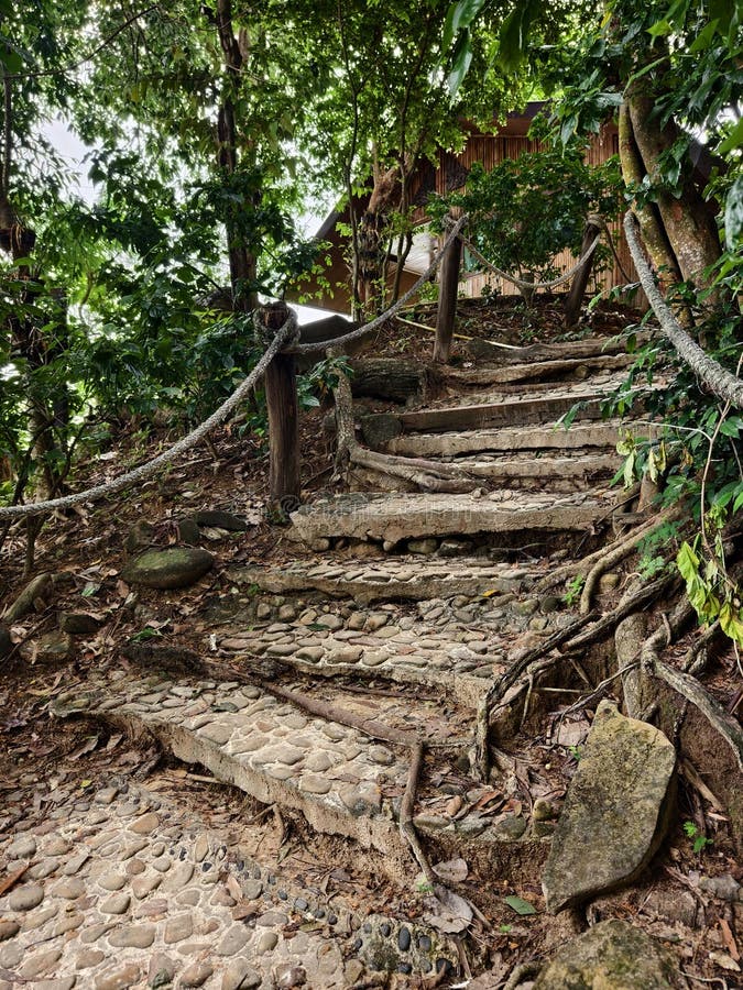 A Picturesque Pathway Winding through Lush Greenery Stock Image - Image ...