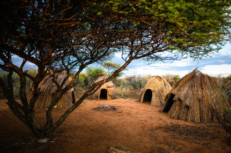 Picturesque Rural Scene Featuring Dry Huts Under a Tree in Africa Stock ...