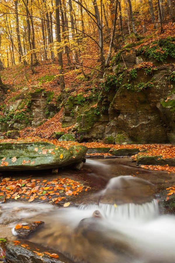 Picturesque Scene of Autumn Forest with a Stream Stock Photo - Image of ...