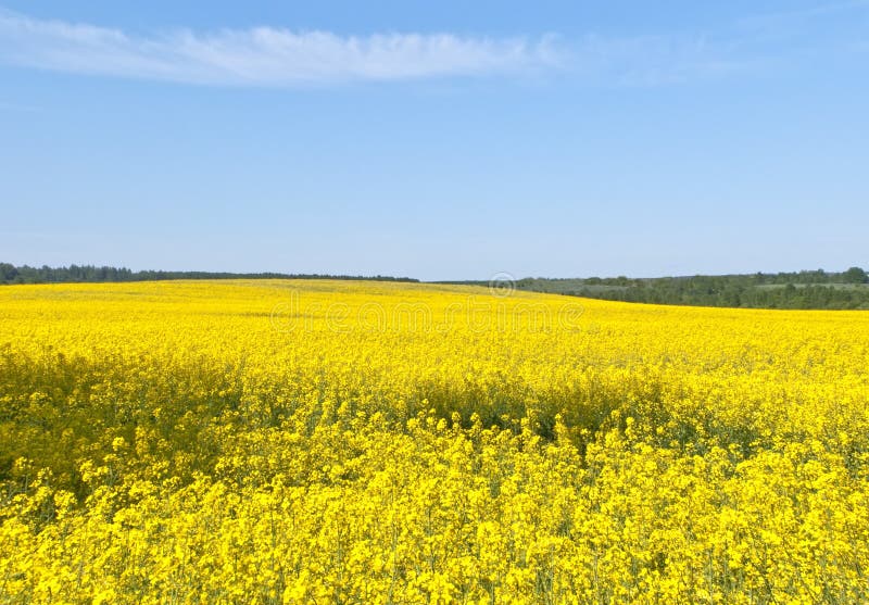 Picturesque Scenery stock photo. Image of panoramic, outdoors - 12092580