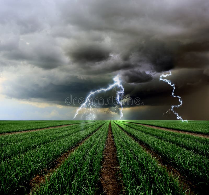 Picturesque Thunderstorm Over Field. Dark Cloudy Sky with Lightnings ...