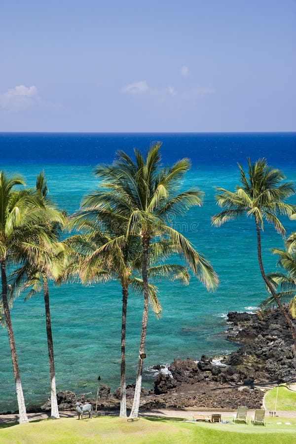 Picturesque tropical beach stock image. Image of ocean - 2528417